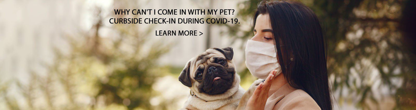 Vet Clinic in Fayetteville & Manlius, NY | Animal Hospital